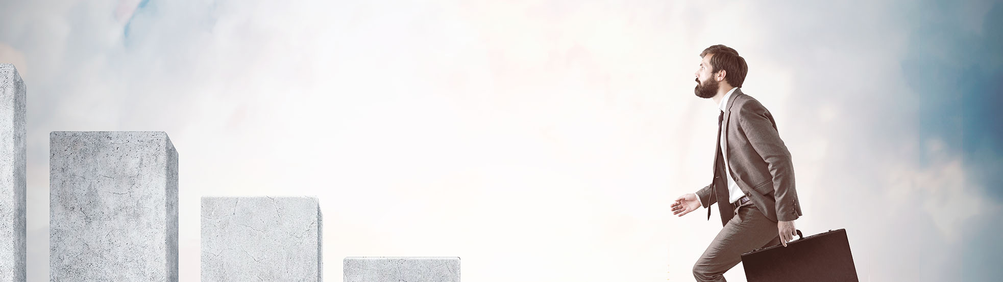 Achieving Career Success: The Guide to Developing and Upgrading Your ...